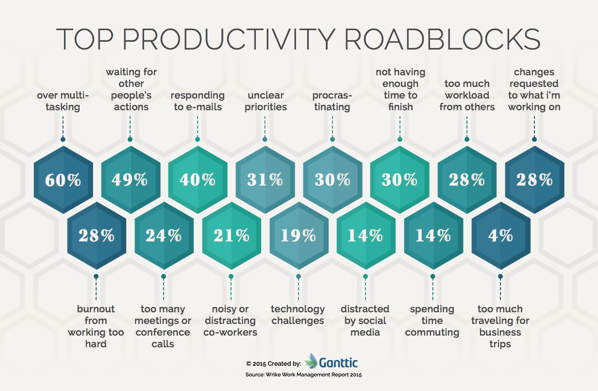 15 Productivity Roadblocks in Project Management (Infographic) - Ganttic